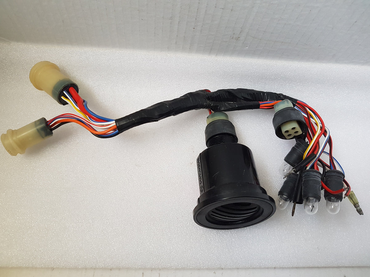 Yanmar - Panel Wiring Loom with Buzzer – Treasuretrove.shop